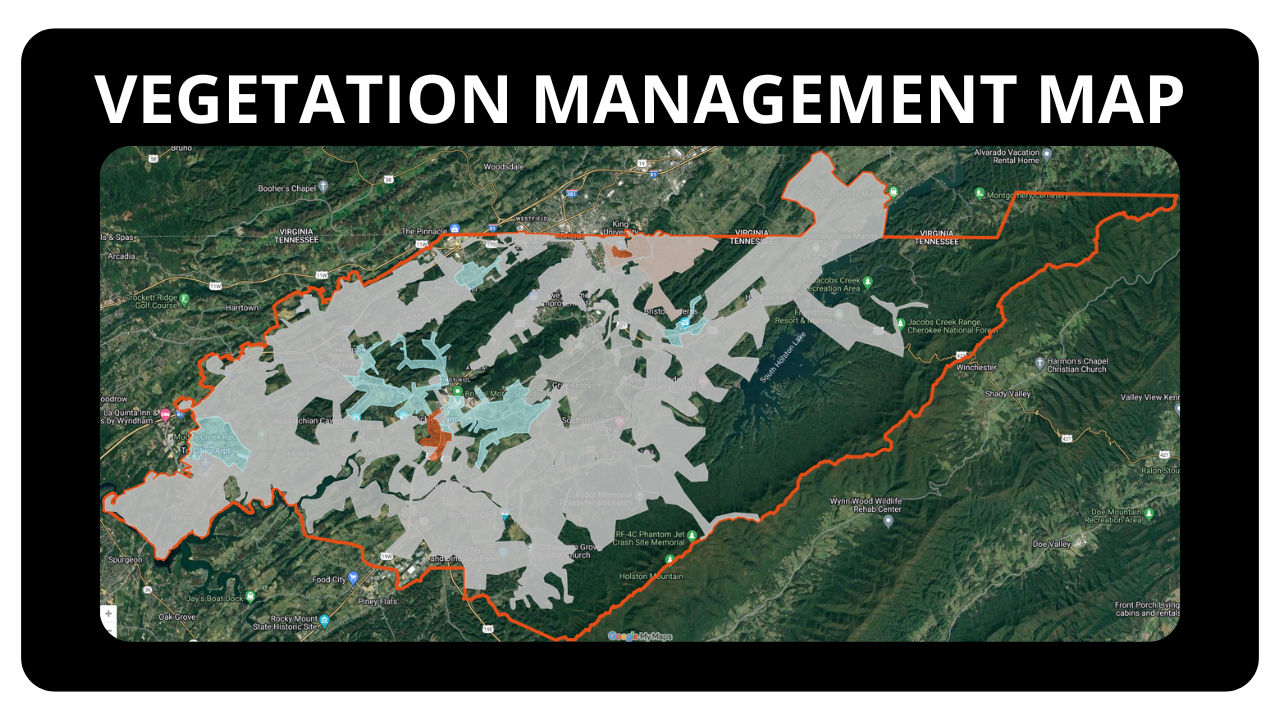 Vegetation Management: What to Expect | BTES